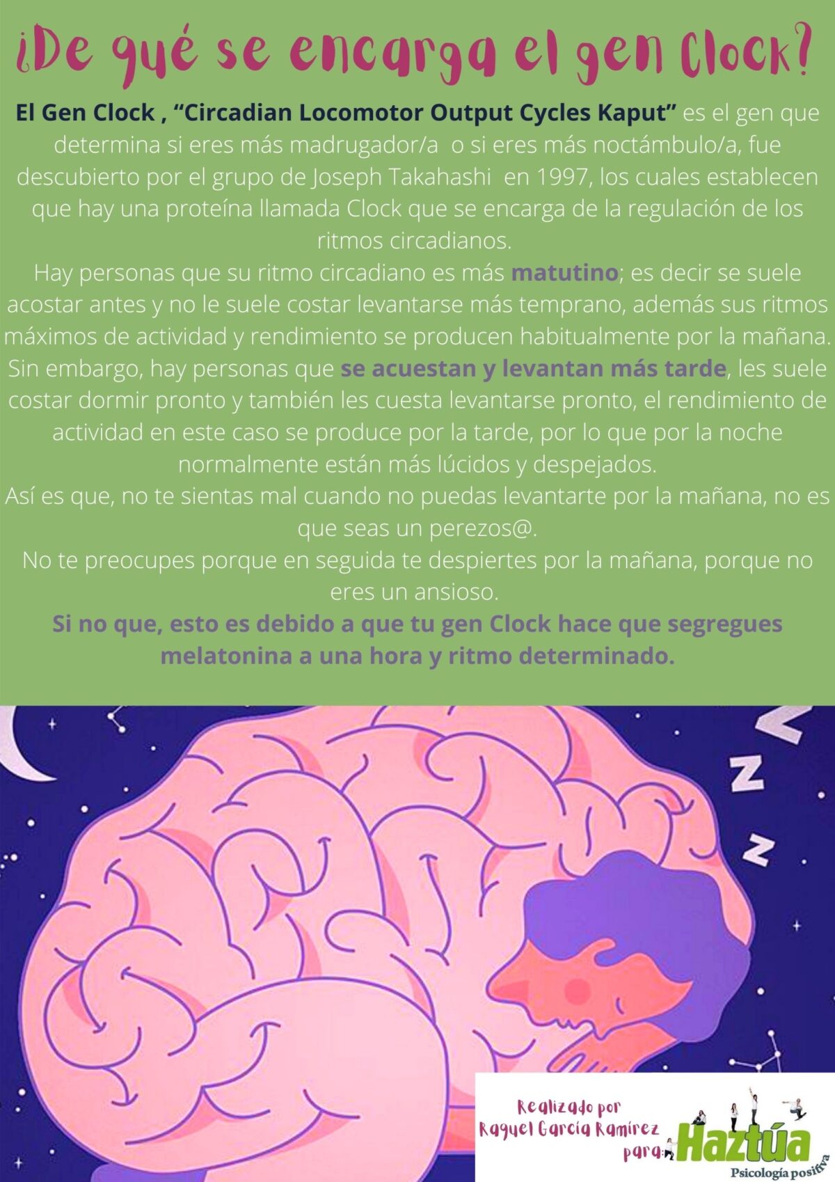 El gen clock - Haztúa Psicología Positiva